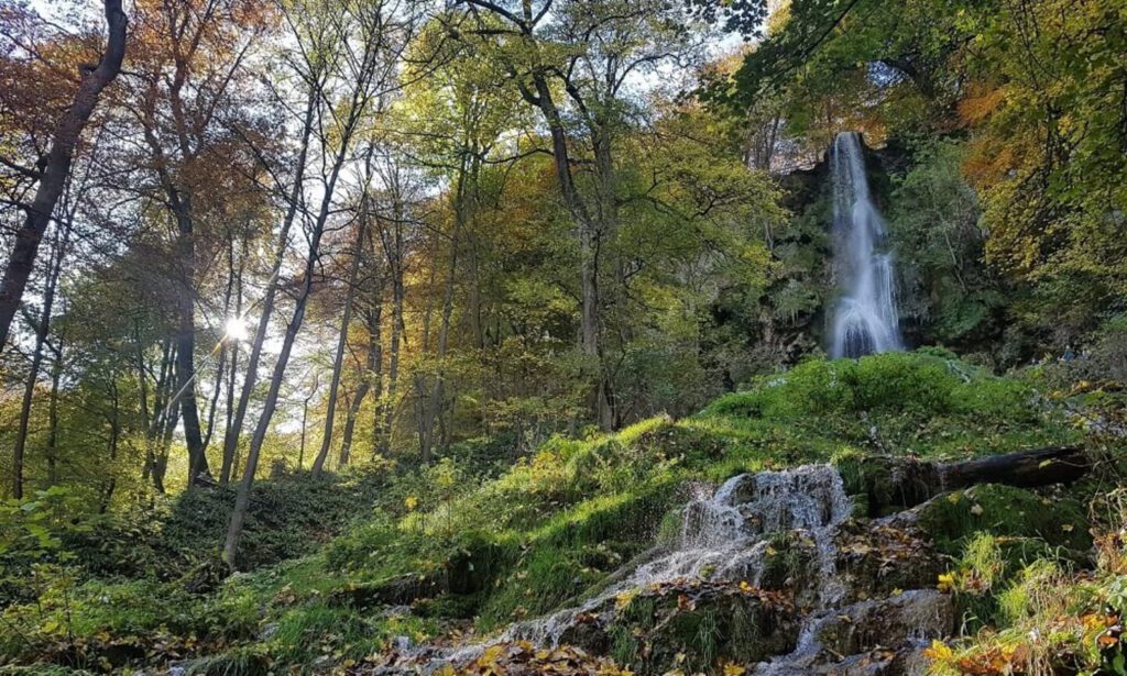 Loßburg wandern: Vogteiturm, Zauberland, Berghütte, Kinzigsee