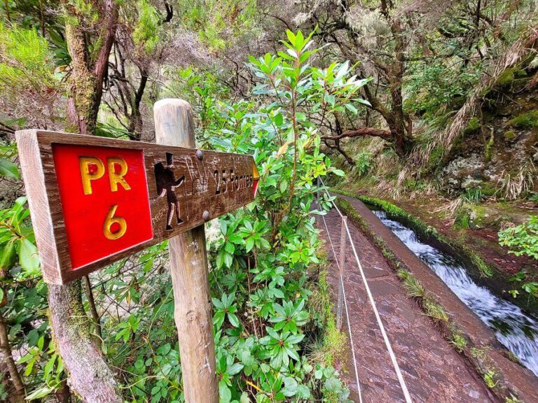 11 Tipps zum Wandern auf Madeira: Die schönsten Wanderwege!