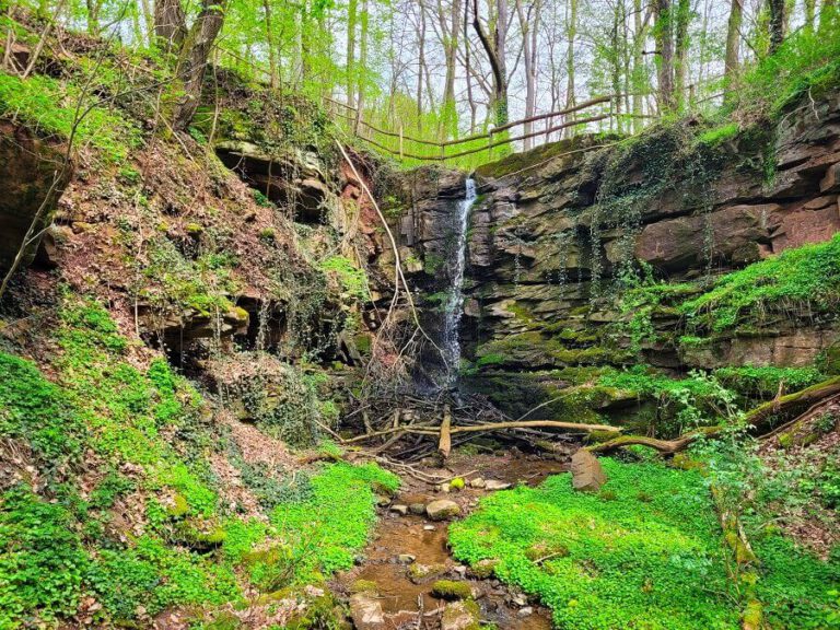 In Wertheim wandern: 5 Tipps für die schönsten Wanderwege!