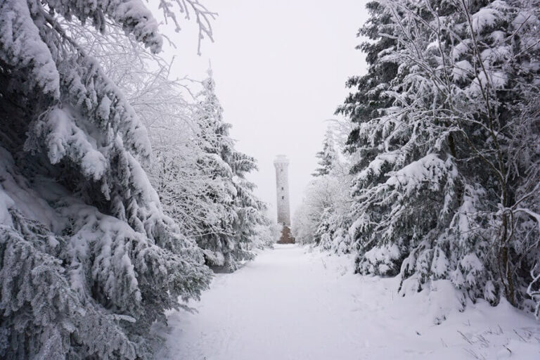 Auf dem Hohloh wandern: Hohlohturm, Wildsee, Moor, Grünhütte!
