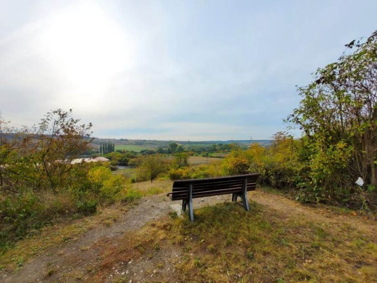 Kitzingen wandern: 5 tolle Tipps für die Weinstadt in Unterfranken!