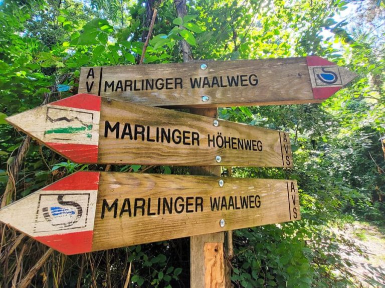 Marlinger Waalweg wandern: Der längste Waalweg in Südtirol!