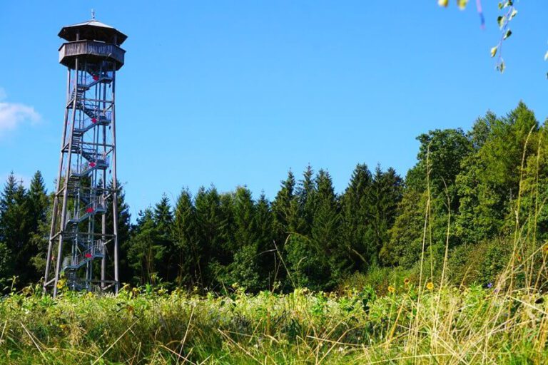 Loßburg wandern: Vogteiturm, Zauberland, Berghütte, Kinzigsee