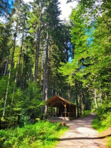 Loßburg wandern: Vogteiturm, Zauberland, Berghütte, Kinzigsee