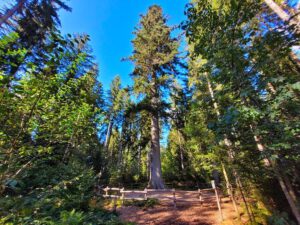 Loßburg wandern: Vogteiturm, Zauberland, Berghütte, Kinzigsee