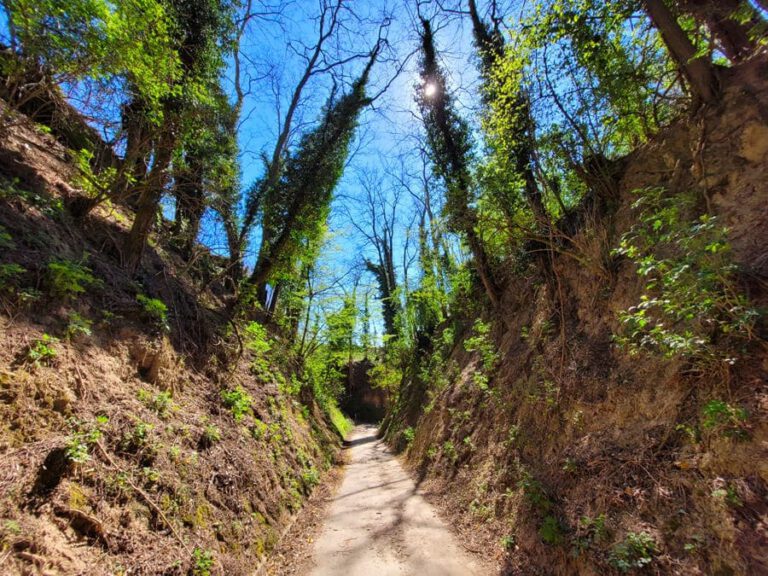 Bad Schönborn wandern: 5 tolle Tipps zum Wandern und Erholen!