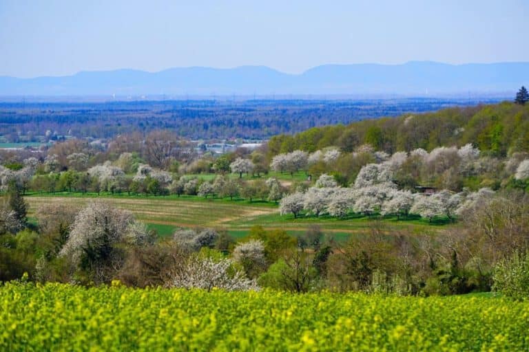 Bad Schönborn wandern: 5 tolle Tipps zum Wandern und Erholen!