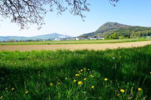 Im Hegau wandern: Hegauer Vulkan-Tour Premium-Wanderweg!