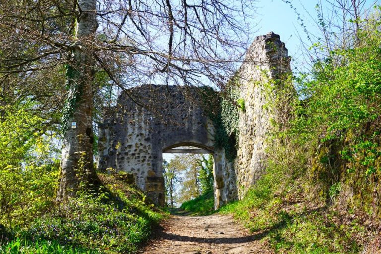 Im Hegau wandern: Hegauer Vulkan-Tour Premium-Wanderweg!