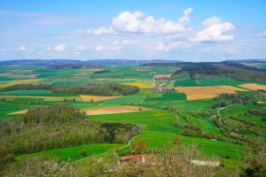 Im Hegau wandern: Hegauer Vulkan-Tour Premium-Wanderweg!