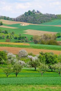 Im Hegau wandern: Hegauer Vulkan-Tour Premium-Wanderweg!