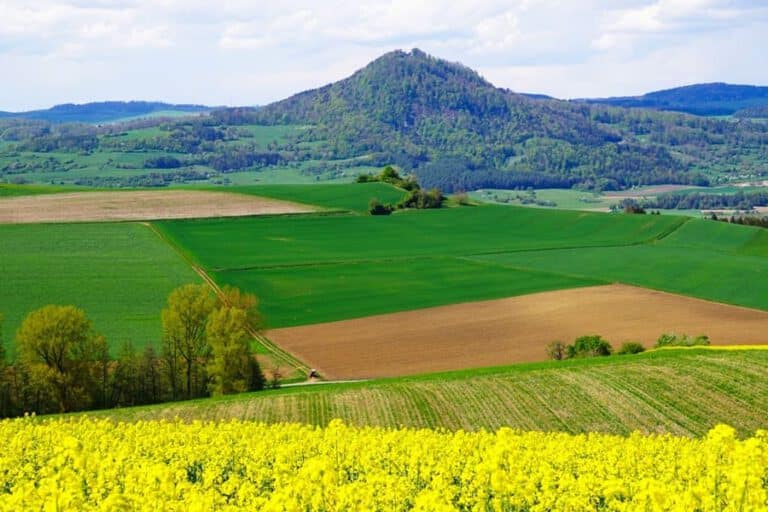 Im Hegau wandern: Hegauer Vulkan-Tour Premium-Wanderweg!