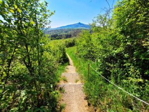 Im Hegau wandern: Hegauer Vulkan-Tour Premium-Wanderweg!