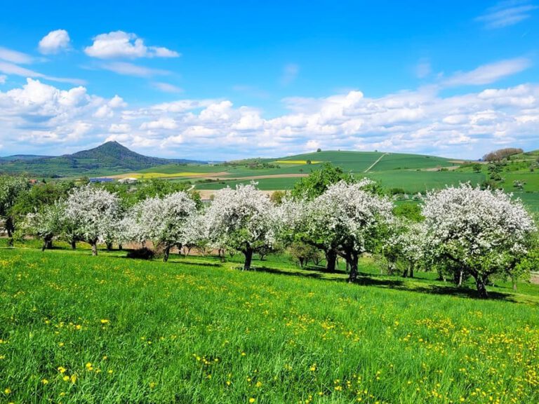 Im Hegau wandern: Hegauer Vulkan-Tour Premium-Wanderweg!