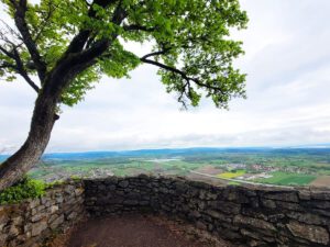 Im Hegau wandern: Hegauer Vulkan-Tour Premium-Wanderweg!