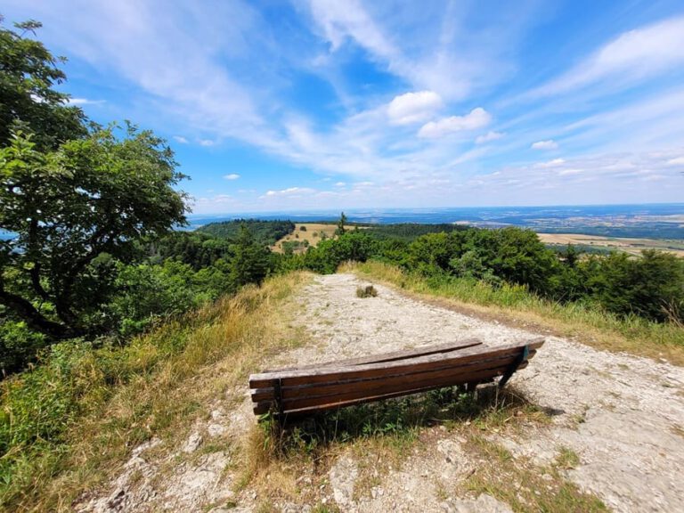 Auf den Roßberg wandern: Wanderheim, Roßbergturm, Alpenbock
