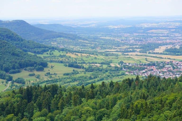 Auf den Roßberg wandern: Wanderheim, Roßbergturm, Alpenbock