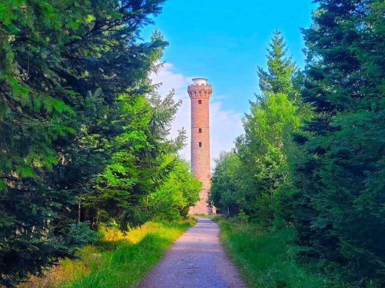 Kaltenbronn wandern: Hohlohturm, Wildsee, Moor, Grünhütte!