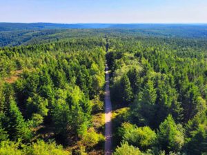Kaltenbronn wandern: Hohlohturm, Wildsee, Moor, Grünhütte!