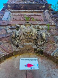 Kaltenbronn wandern: Hohlohturm, Wildsee, Moor, Grünhütte!