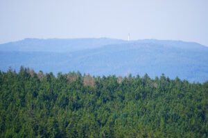 Kaltenbronn wandern: Hohlohturm, Wildsee, Moor, Grünhütte!